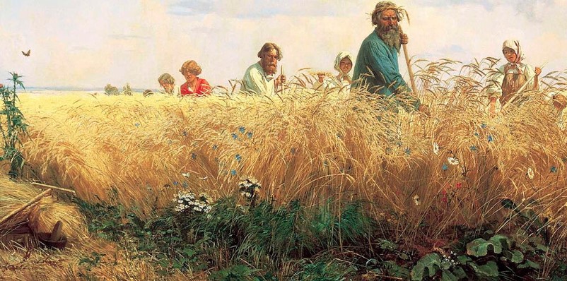 Wheat or Weeds - Christ the Vine LutheranChrist the Vine Lutheran